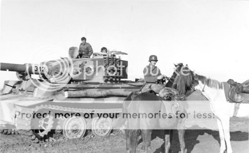 Tiger_tank_number_312_zpshwsazj2t.jpg Photo by antro1167 | Photobucket